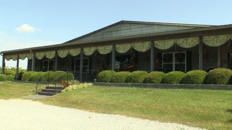 Hinnant Picture Gallery - Hinnant Vineyards
