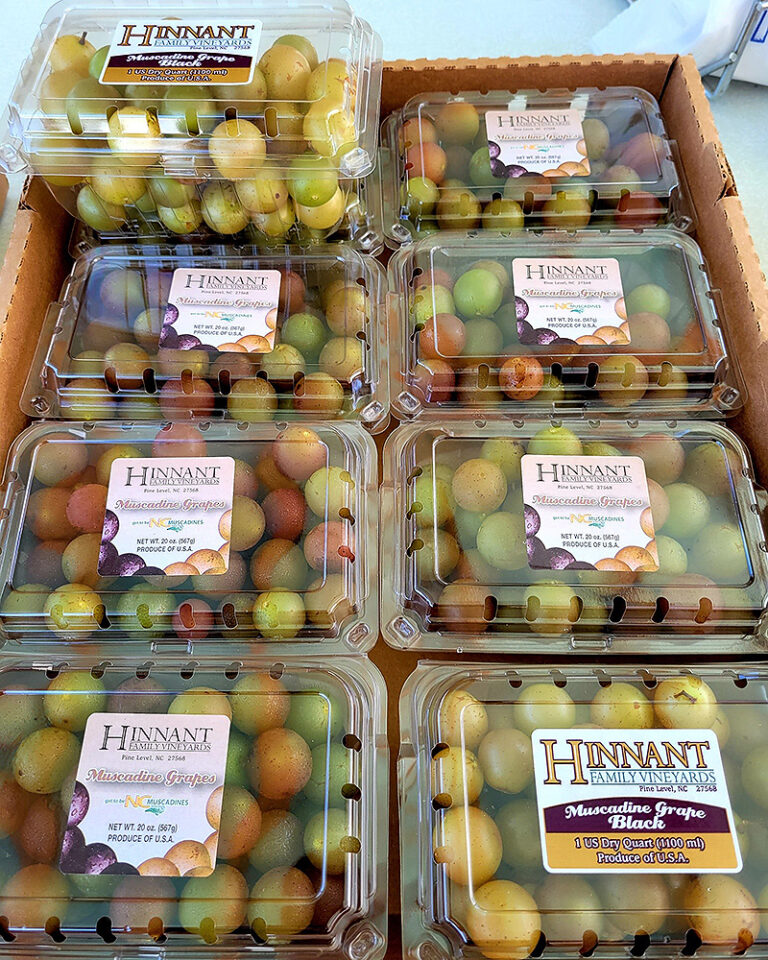 Hinnant Picture Gallery - Hinnant Vineyards